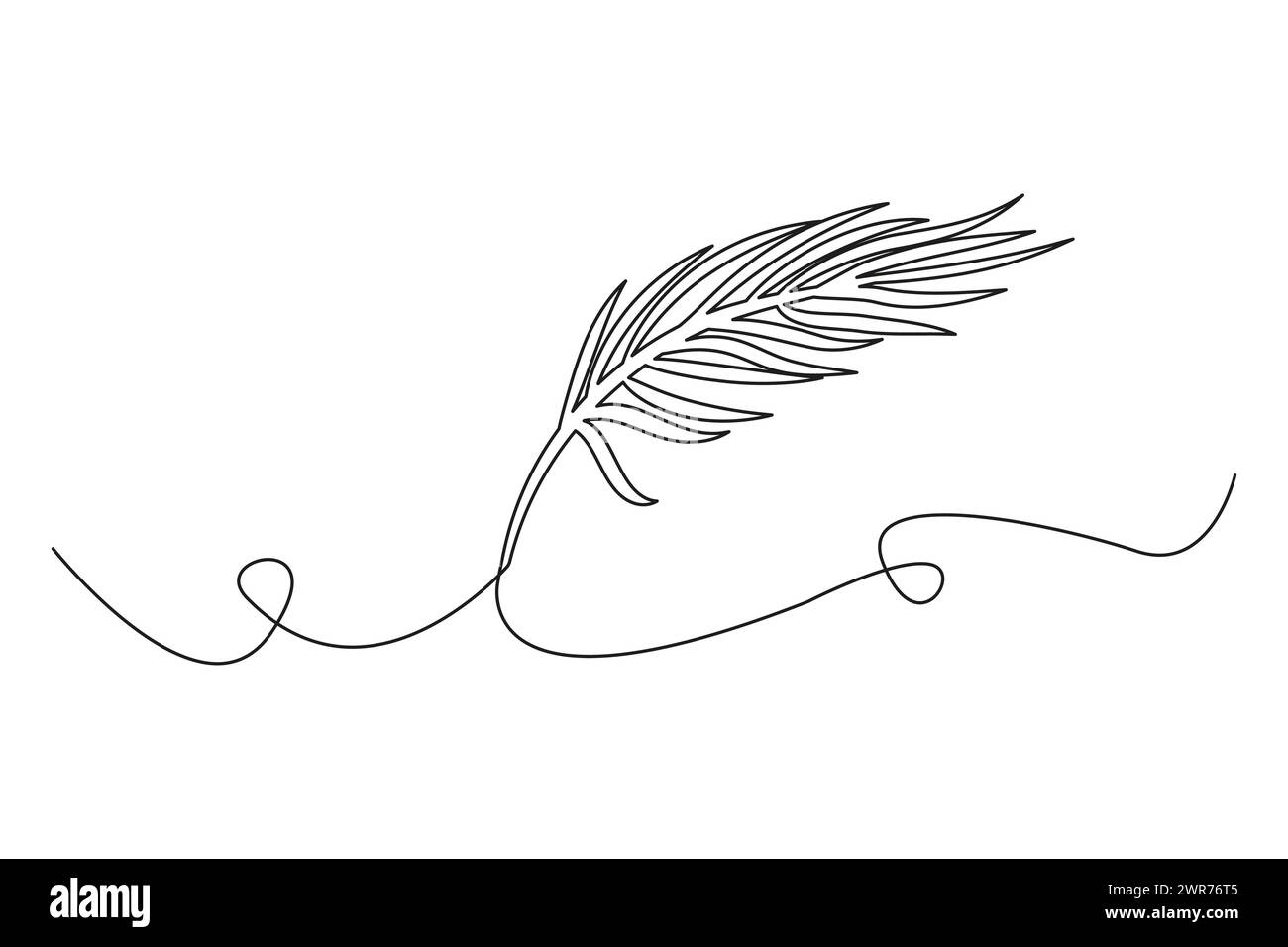 Feather drawing hi-res stock photography and images - Alamy