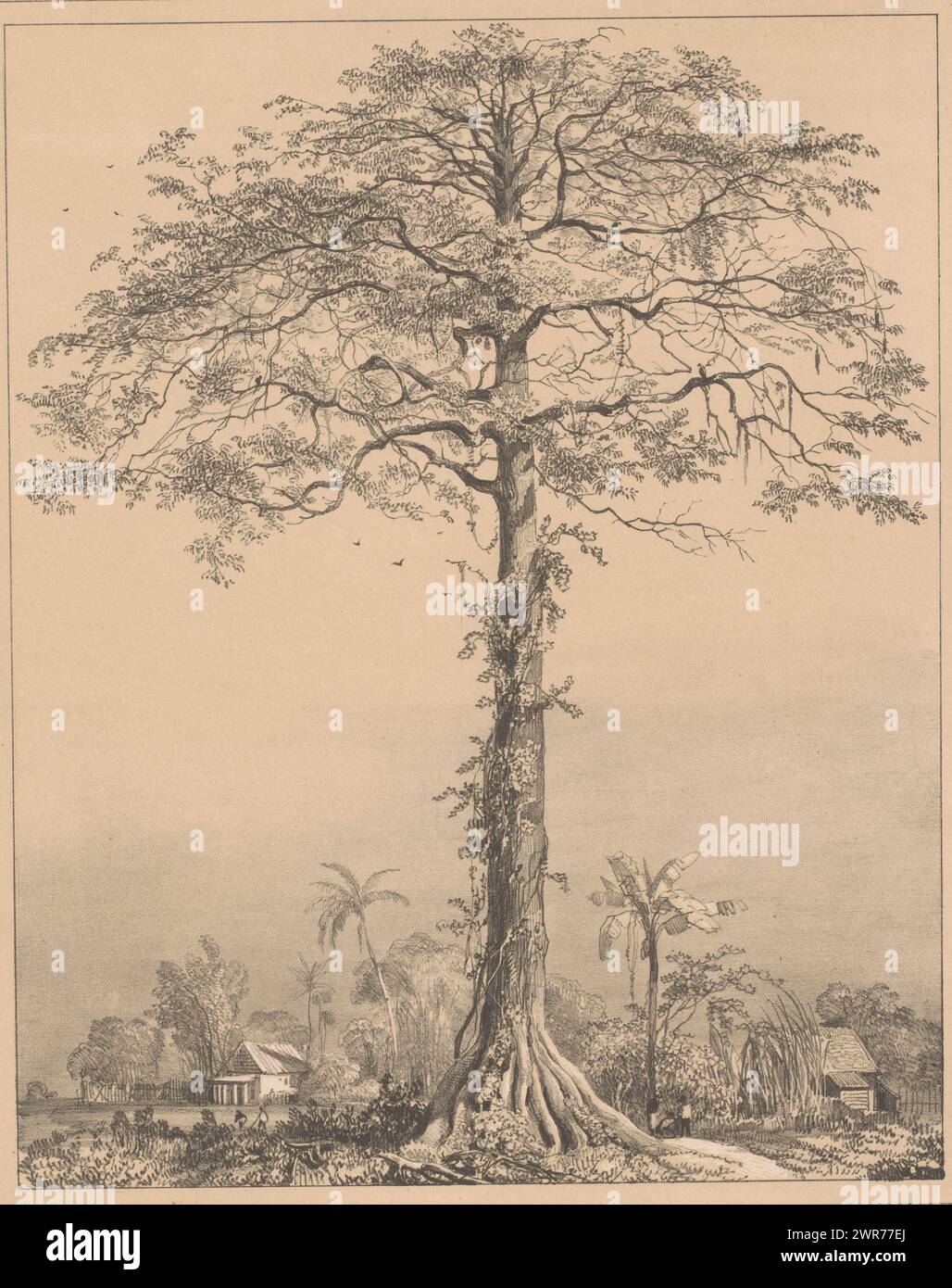 Numbered xxix hi-res stock photography and images - Alamy