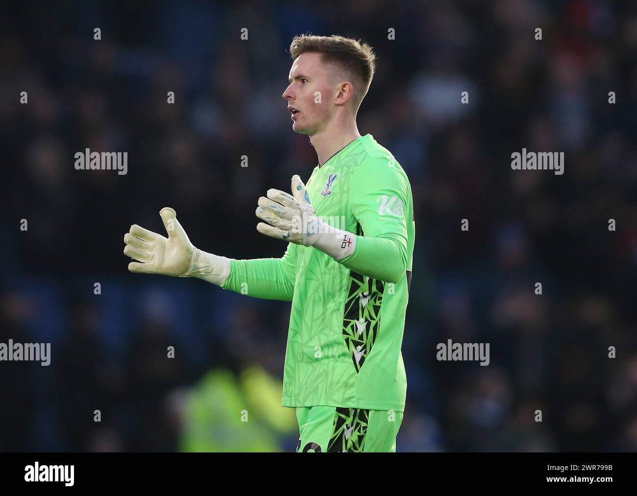 Dean henderson crystal palace hi-res stock photography and images - Alamy