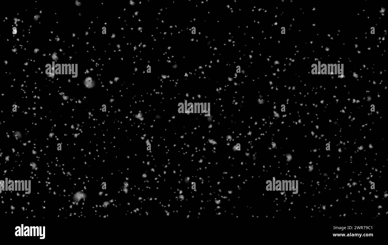 Snowfall motion graphics green screen hi-res stock photography and images - Alamy