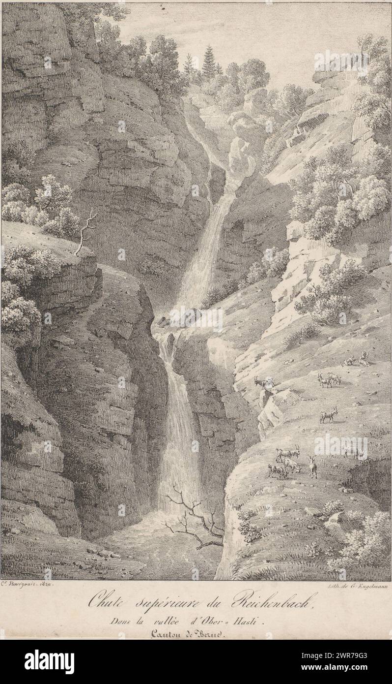 View of the Reichenbach Waterfall, Chute supérieure du Reichenbach ...