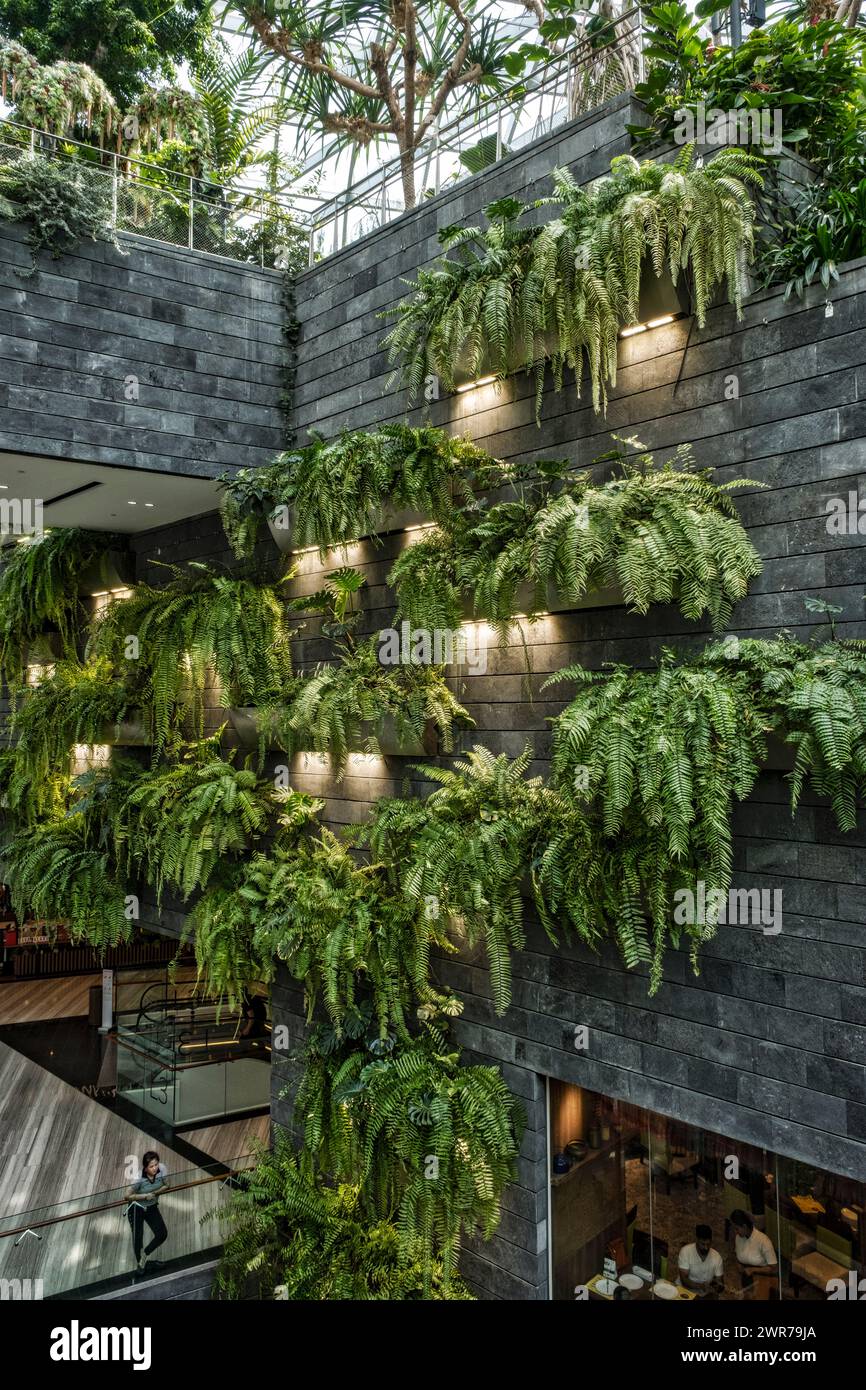 The Rain Vortex, indoor waterfall, Jewel Changi airport, Singapore ...