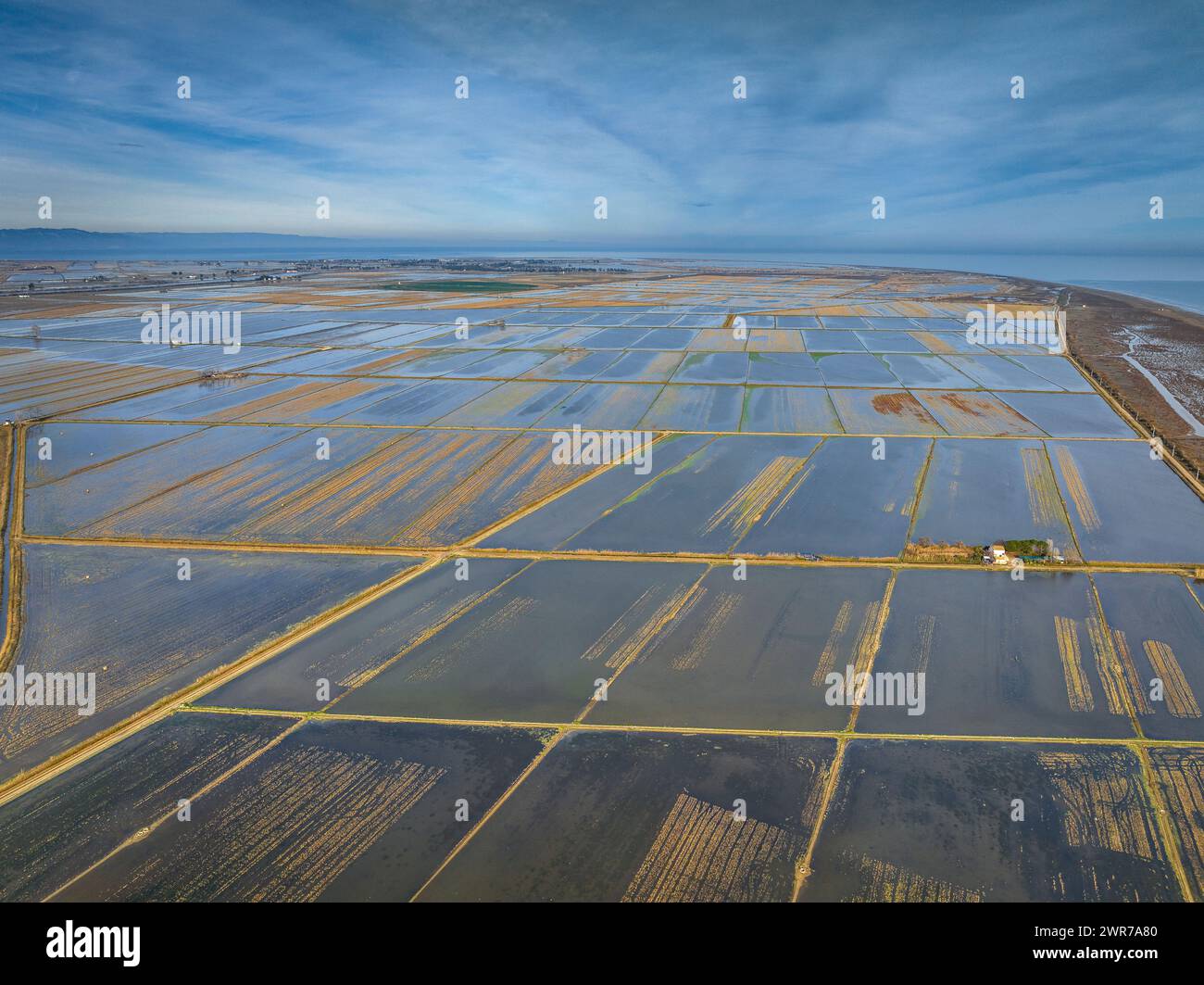 Campos de arroz de agua hi-res stock photography and images - Alamy