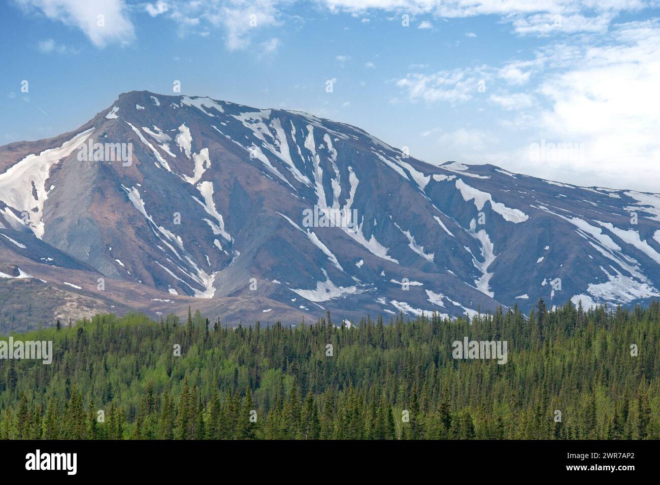 Remote Mountain Range with Evergreen Forest and Blue Skies in Alaska ...