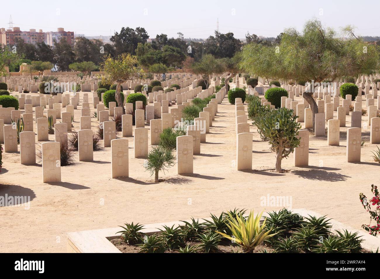 El.Alamein, Egypt, October 10th 2023 The Commonwealth Military War ...