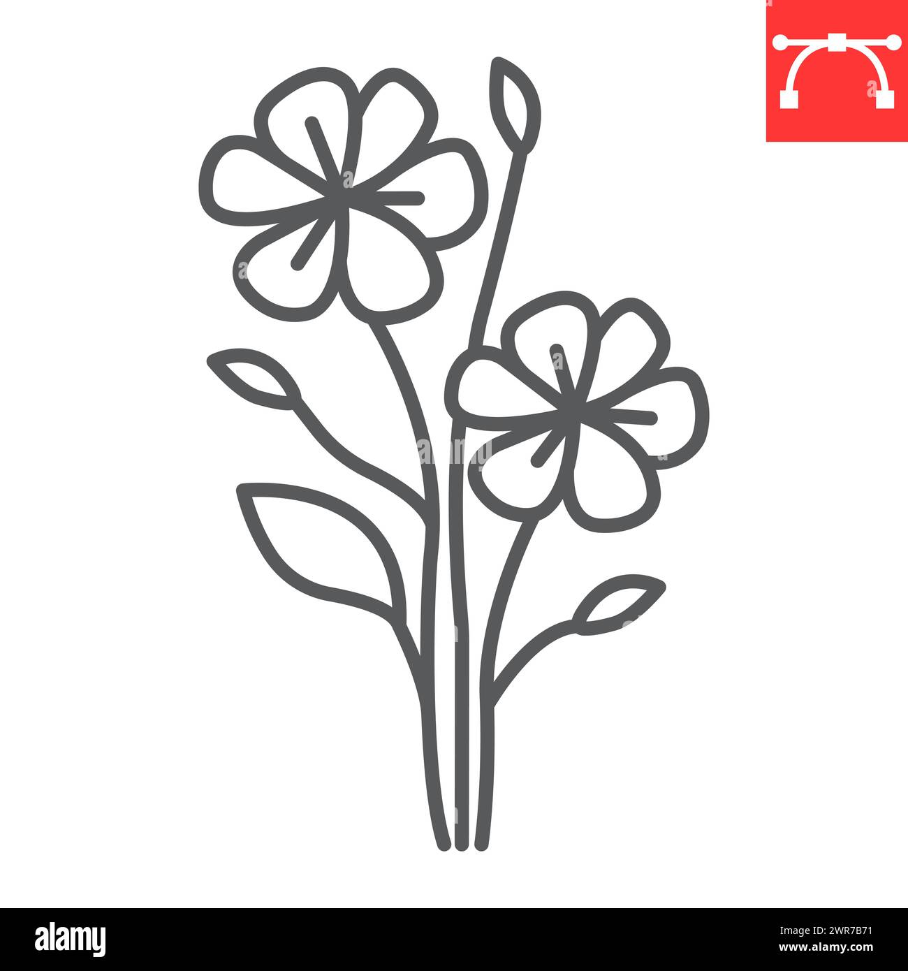 Daisy floral garden spring pictogram Stock Vector Images - Alamy