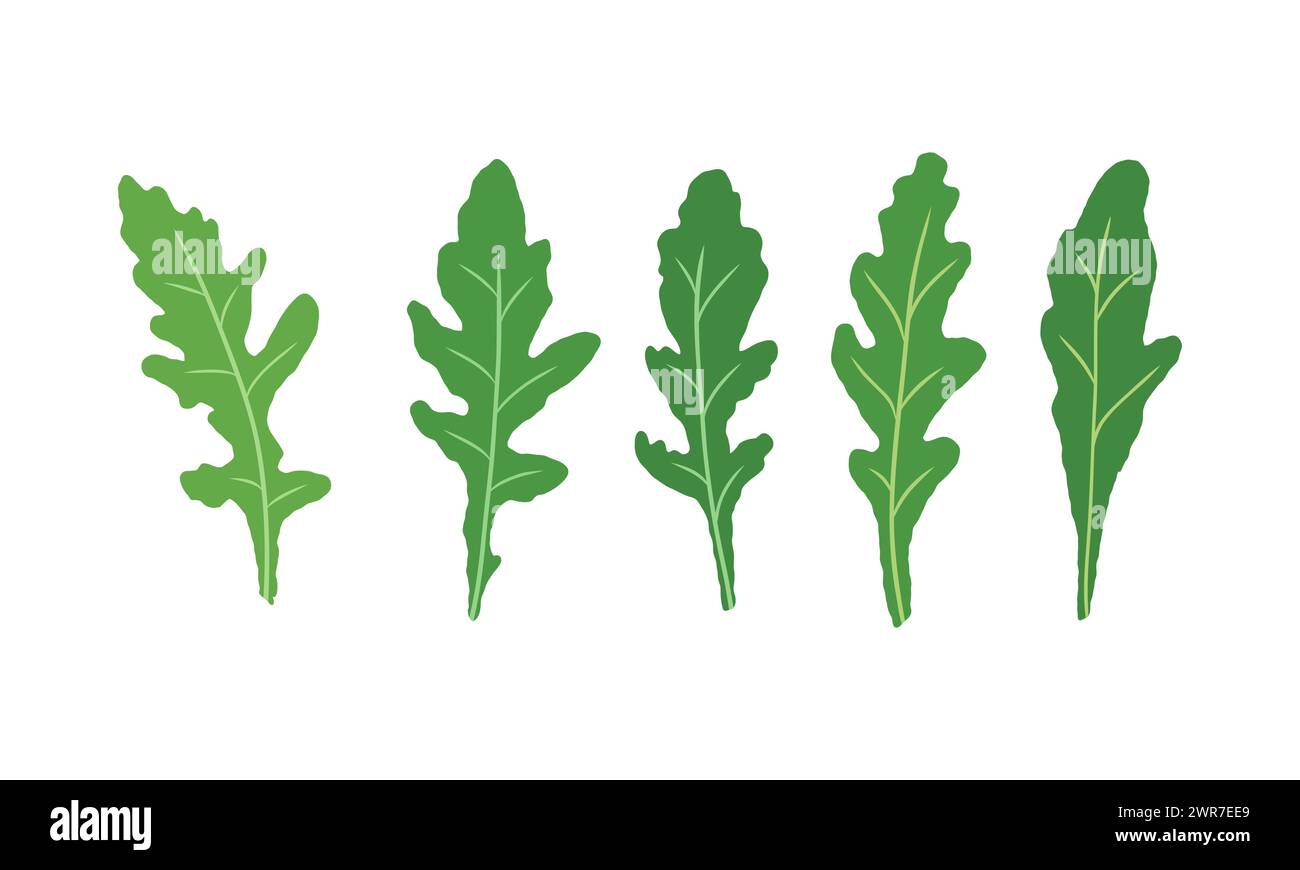 Minimalist ingredient label hi-res stock photography and images - Alamy