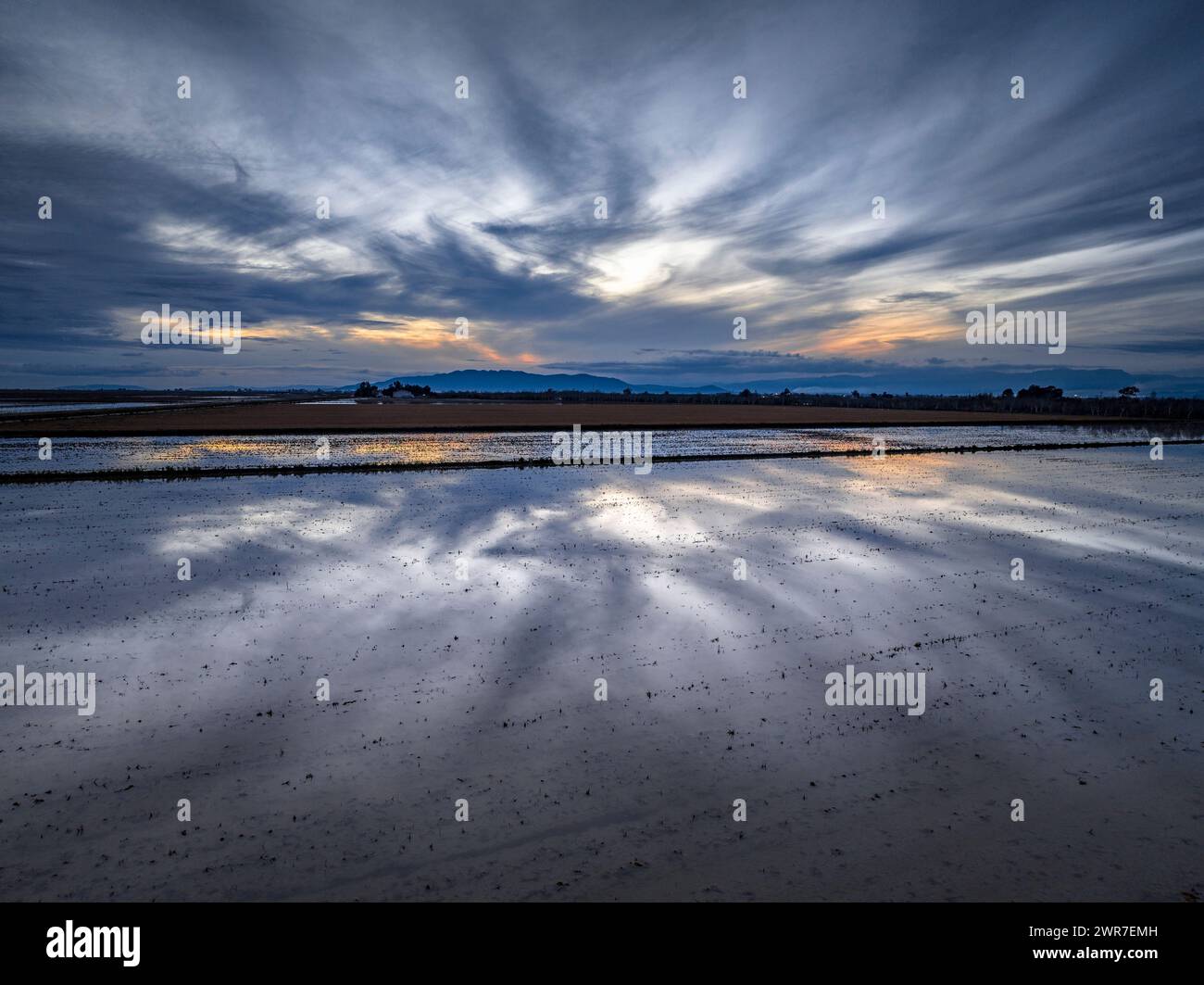 Aerial view of the rice fields of the Ebro Delta covered with water on ...