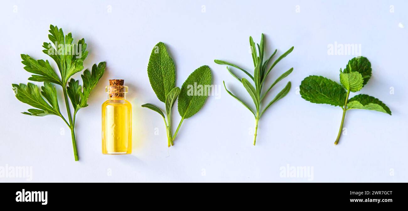 Medicinal herbal extract in a bottle. Selective focus Stock Photo - Alamy