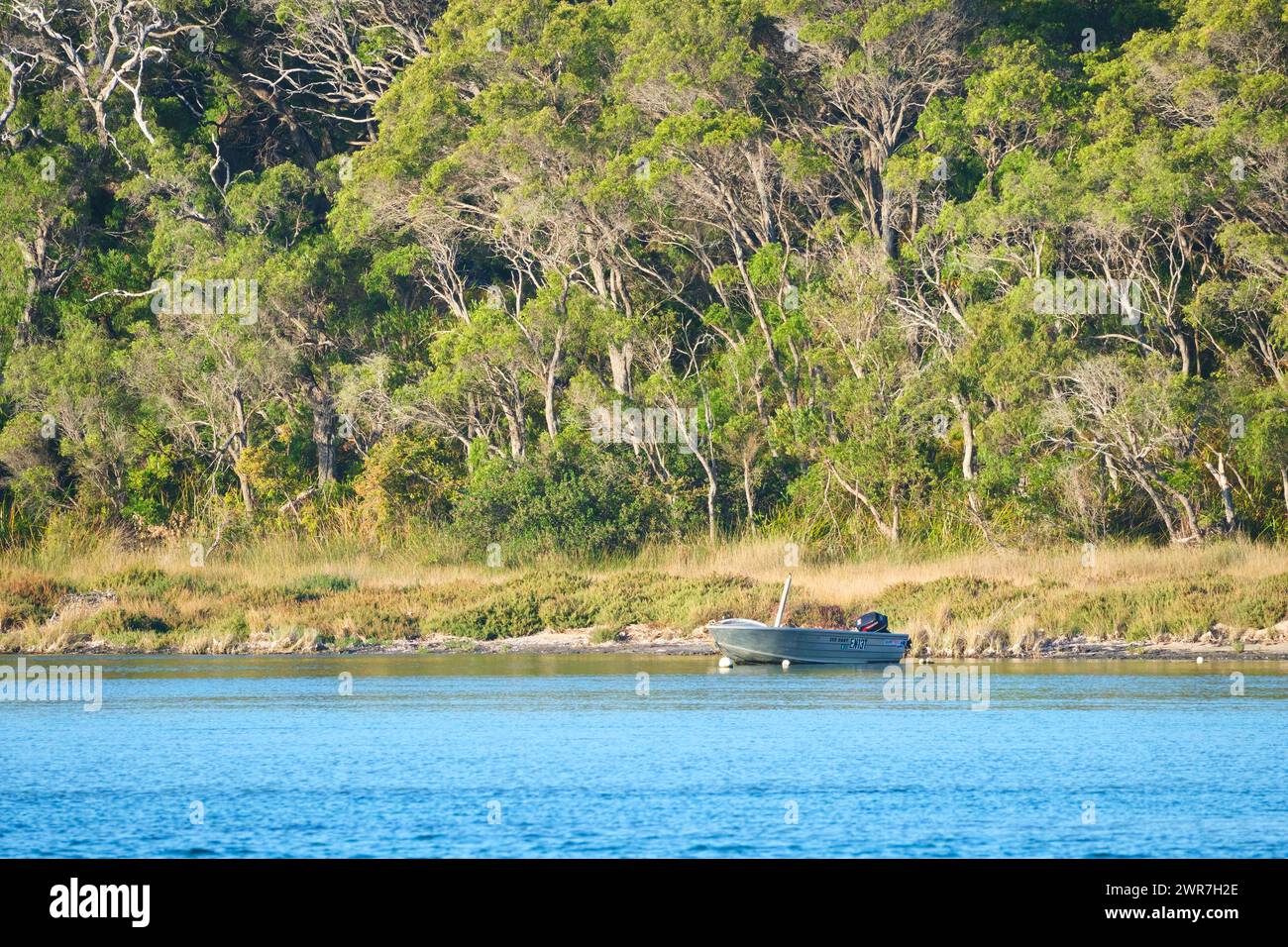 The foreshore of the Blackwood River in the estuary of Hardy Inlet with ...