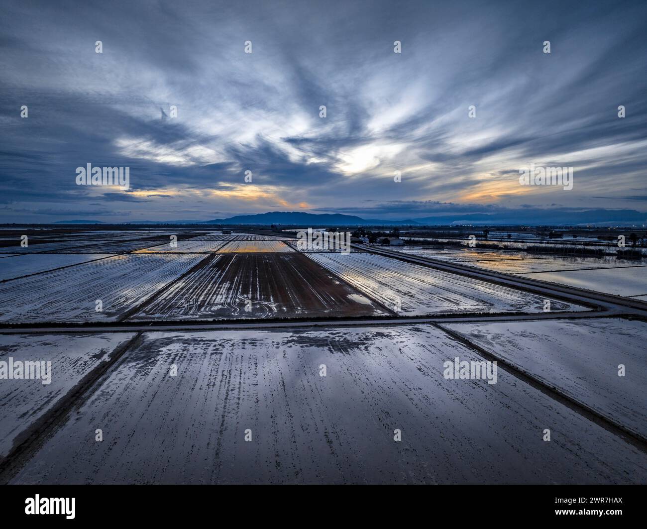 Aerial view of the rice fields of the Ebro Delta covered with water on ...