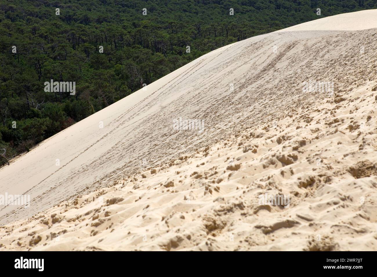 The Famous dune of Pyla, the highest sand dune in Europe, in Pyla Sur ...