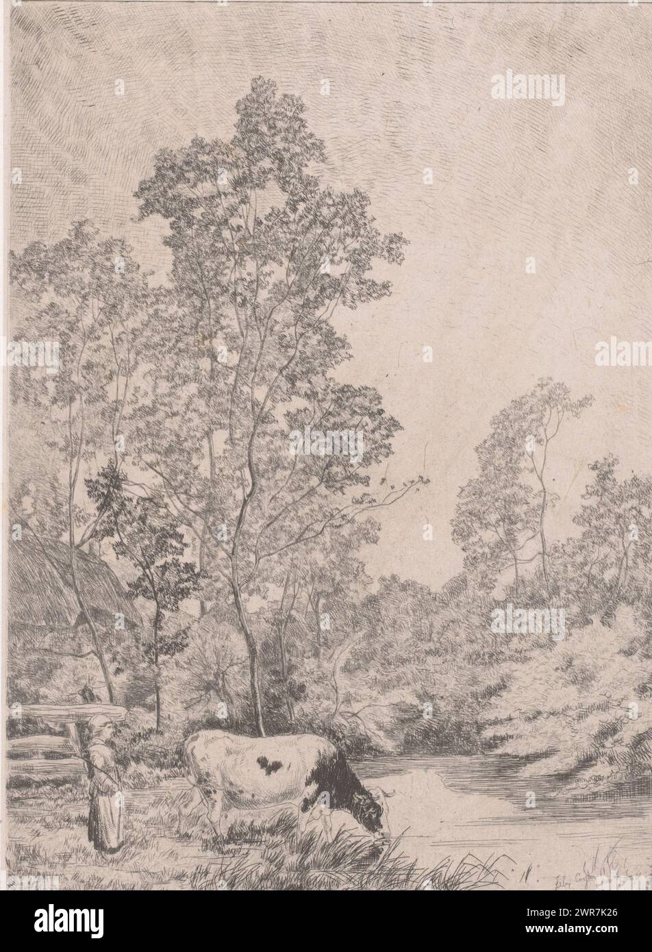 Cow drinking along the shore, print maker: Félix Cogen, after own ...