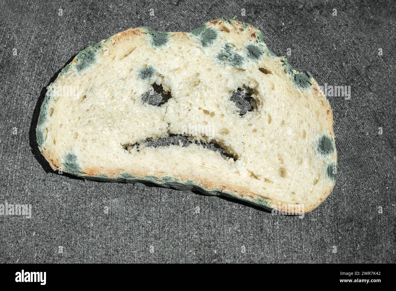 The old mold on the wheat bread slice. Spoiled food with sad face on ...