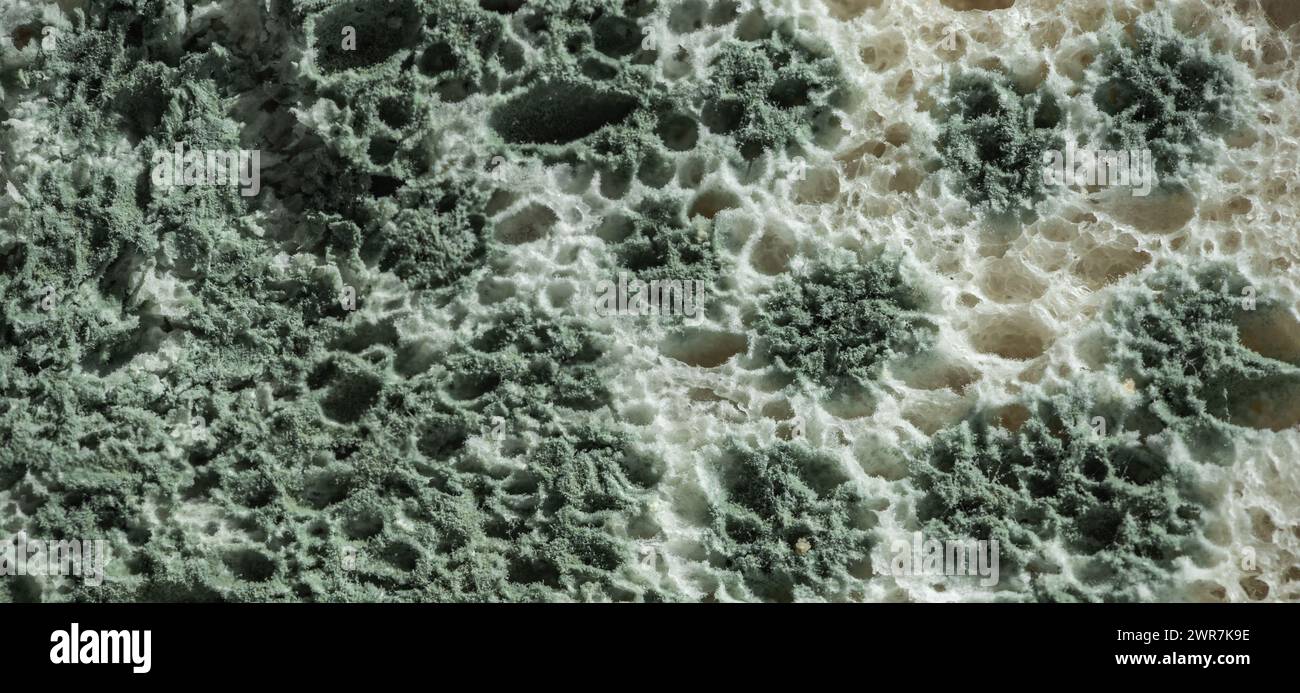 The old mold on the wheat bread. Spoiled food background Stock Photo ...