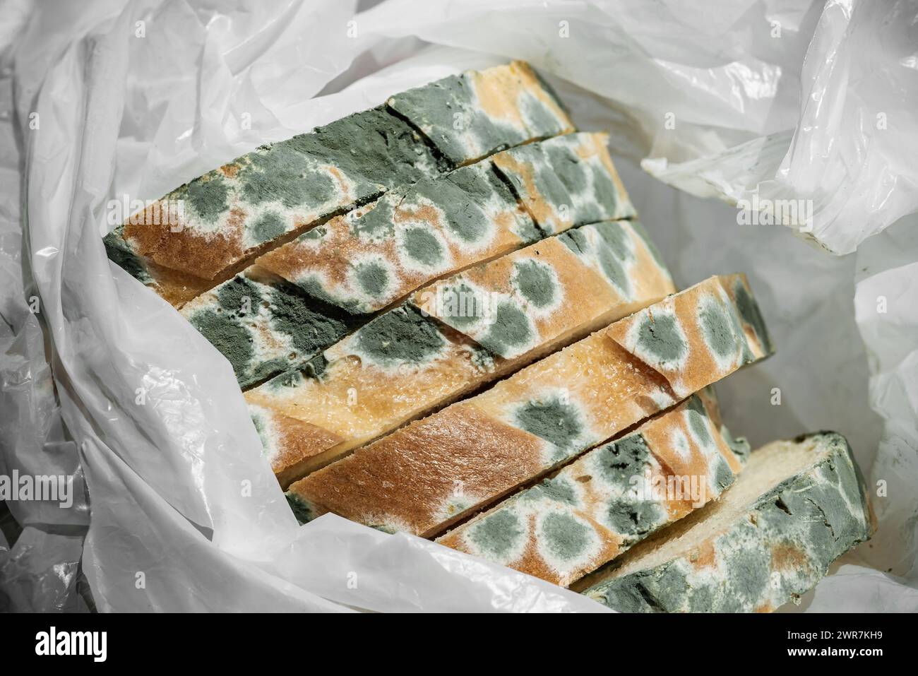 The old mold on the wheat bread. Spoiled food. Mold on food in plastic ...