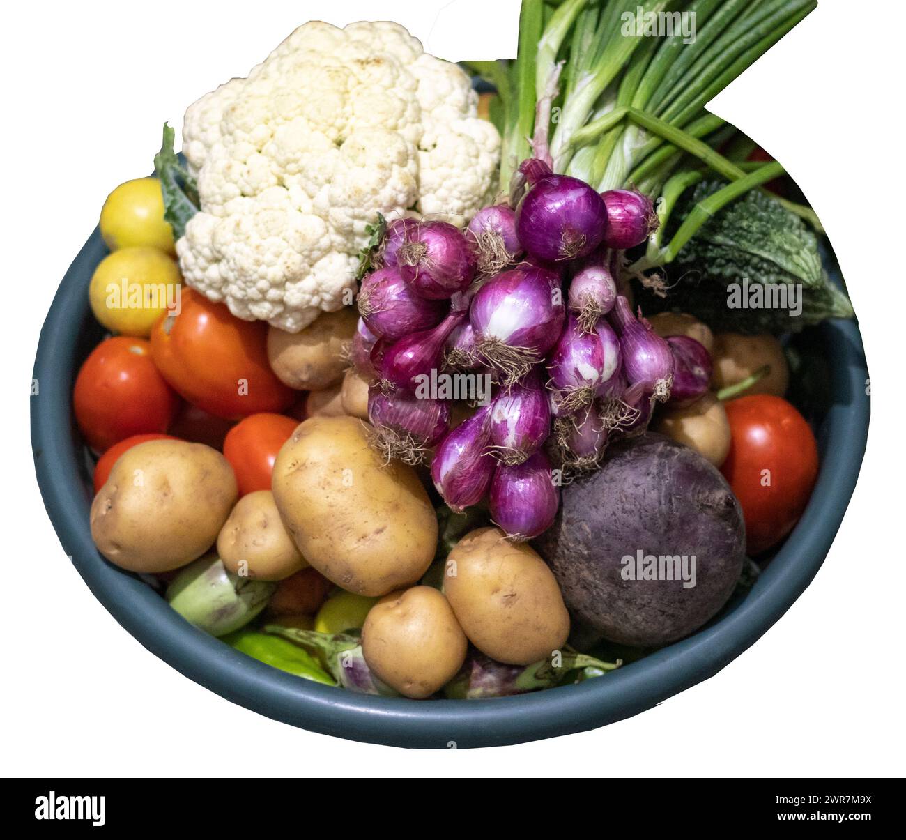 Different vegetables hi-res stock photography and images - Alamy