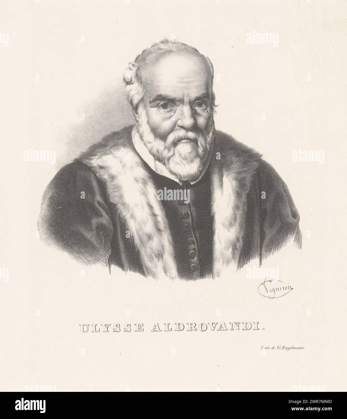 Ulysse aldrovandi hi-res stock photography and images - Alamy