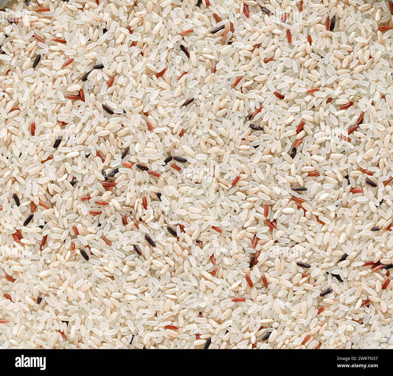 Background of different rice varieties types. Thai food. Mixed rice ...