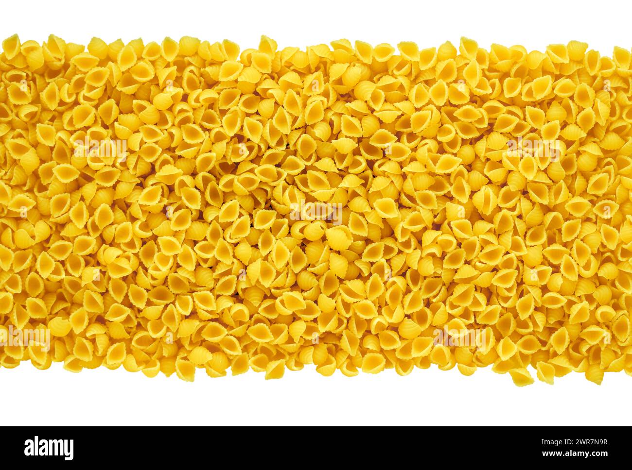 Italian pasta conchiglie isolated on white background. Italian food ...