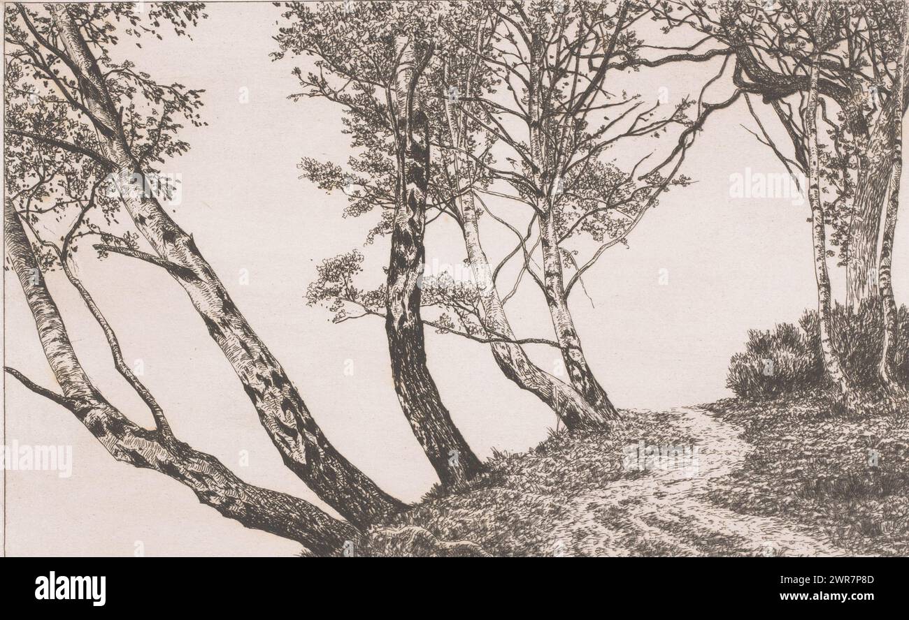 Landscape with birches along a shore, print maker: Alfred Elsen ...