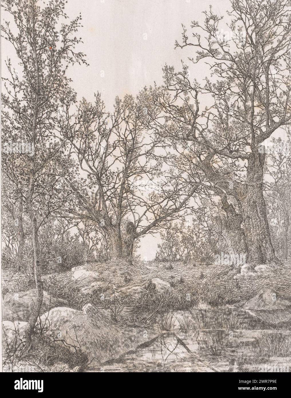 Swamp landscape with trees, print maker: Alfred Elsen, 1879, paper ...