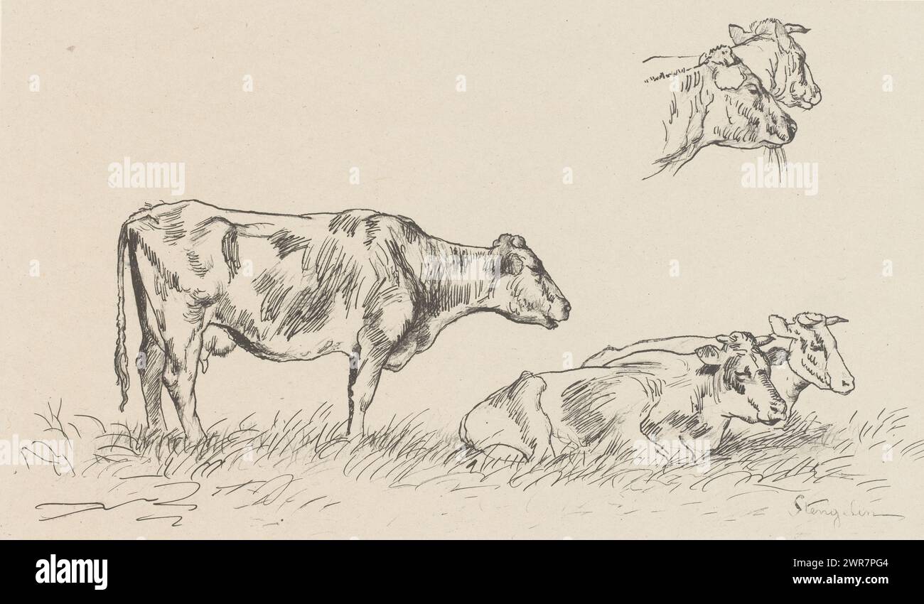 Study of cows, Étude de vaches (original title on object), print maker ...