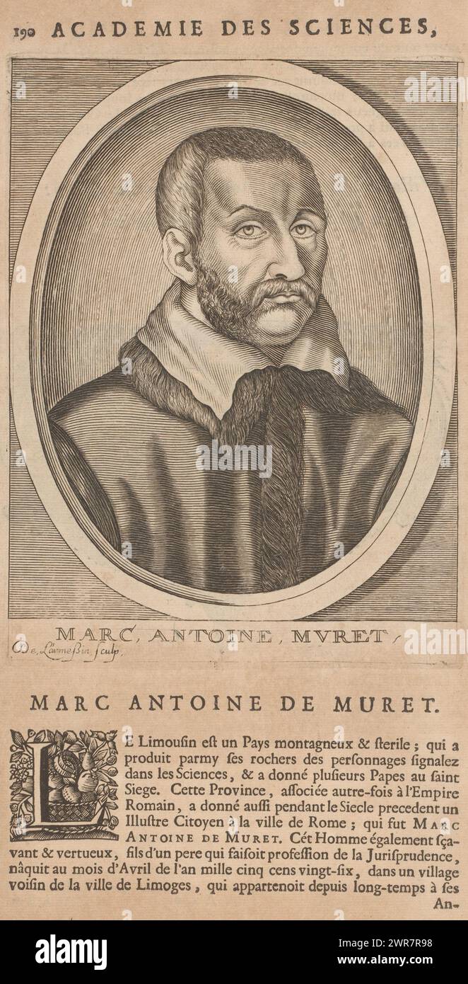 Height 320 mm width 187 mm hi-res stock photography and images - Alamy