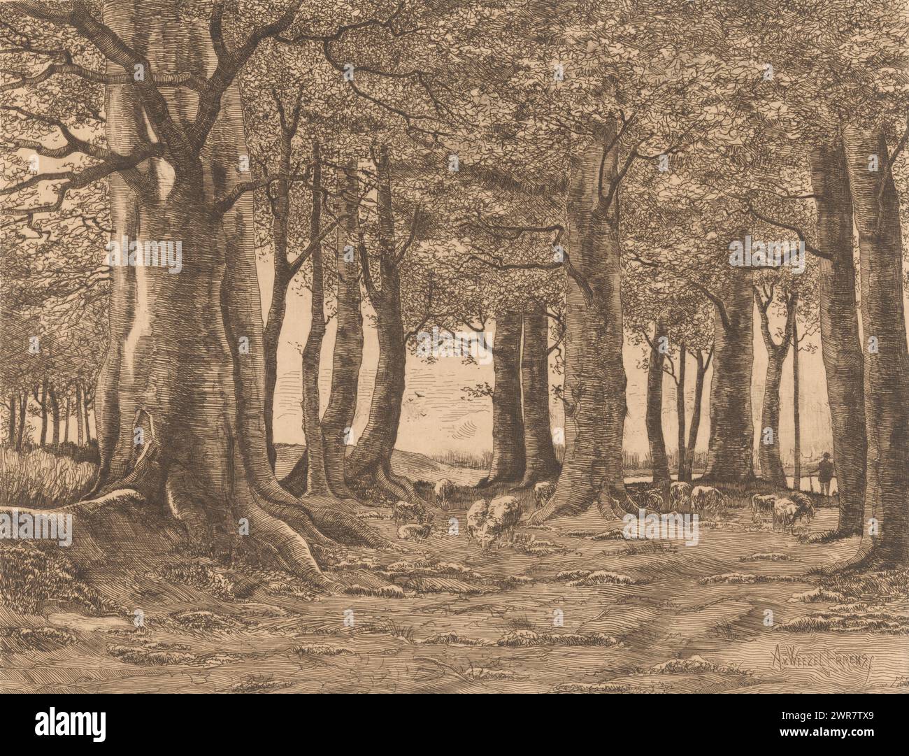 Trees with sheep and shepherd, Beech trees at the Uddelermeer (title on ...