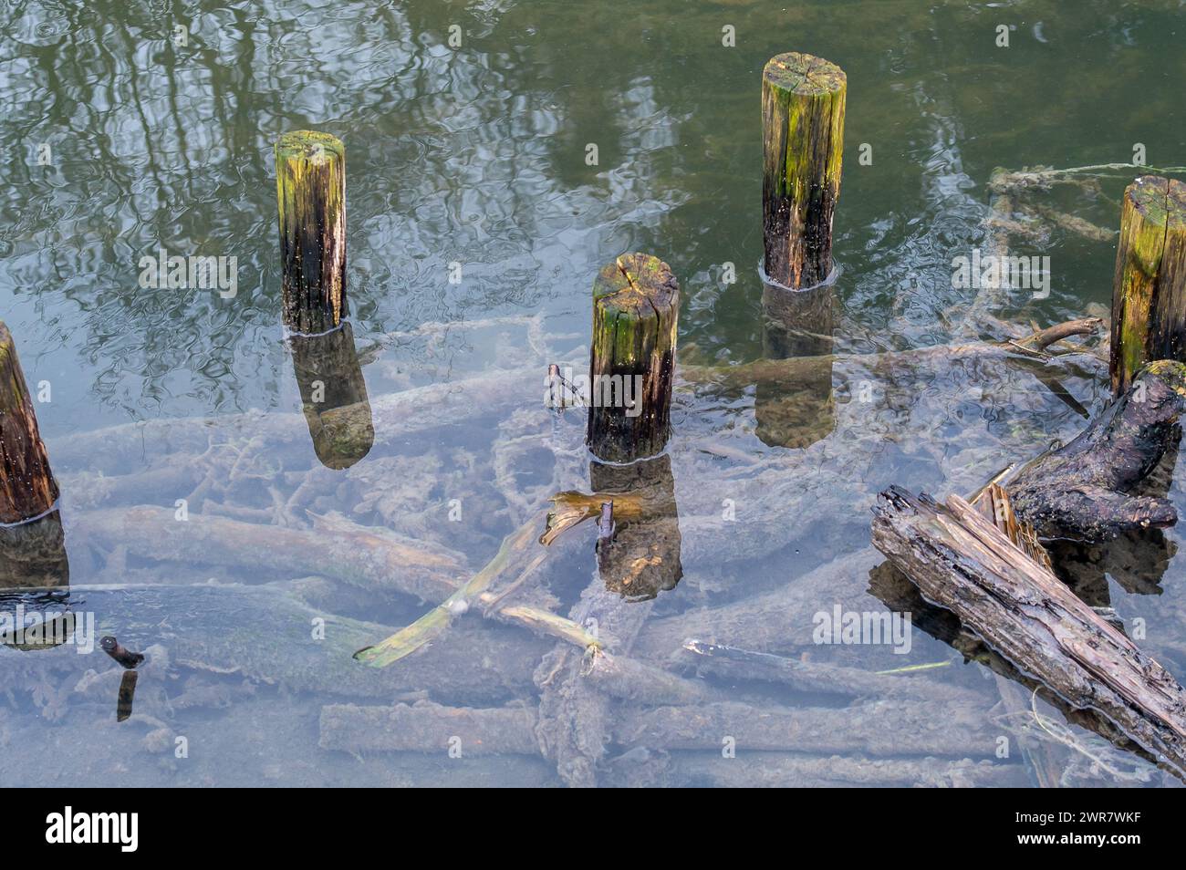 Dorney, Buckinghamshire, UK. 11th March, 2024. After numerous ...