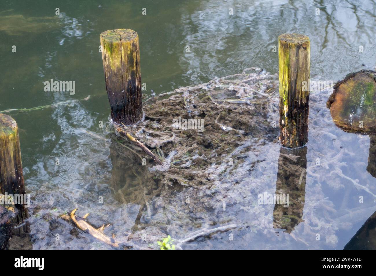 Dorney, Buckinghamshire, UK. 11th March, 2024. After numerous ...