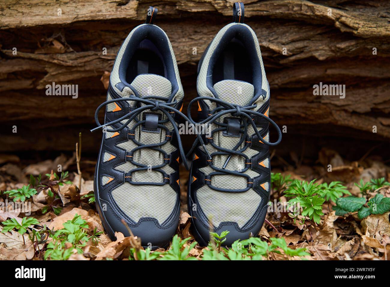 Hiking Boots in Nature. Sturdy trekking shoes against a backdrop of ...