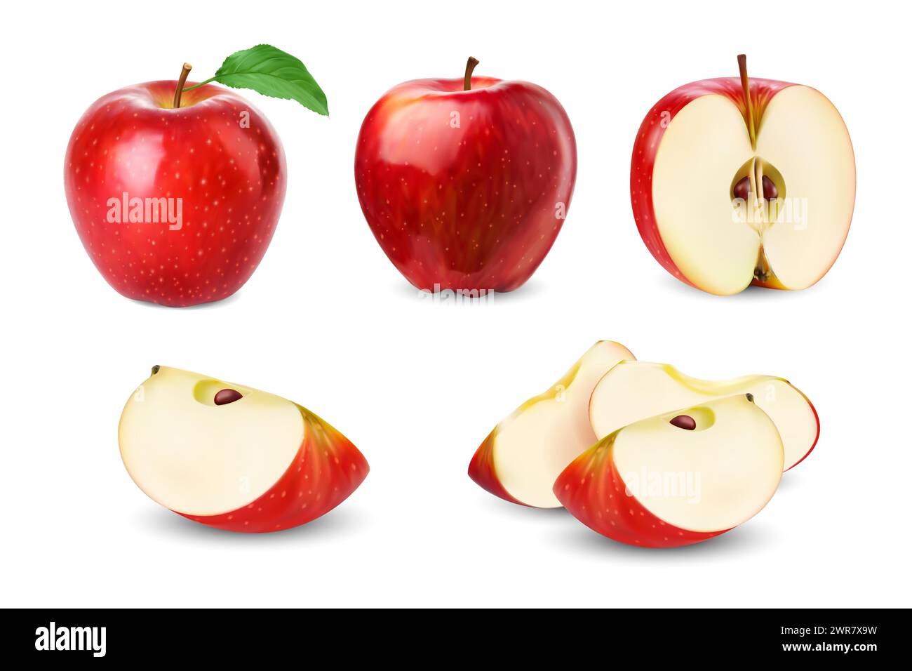 Seed orchard Stock Vector Images - Alamy