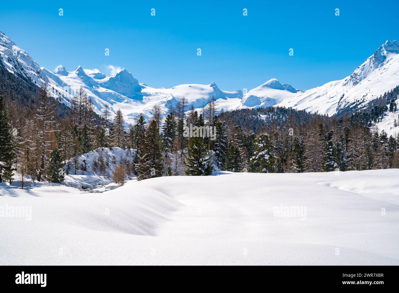 Val Roseg, in Engadine, Switzerland, in winter, with snow-covered cross ...