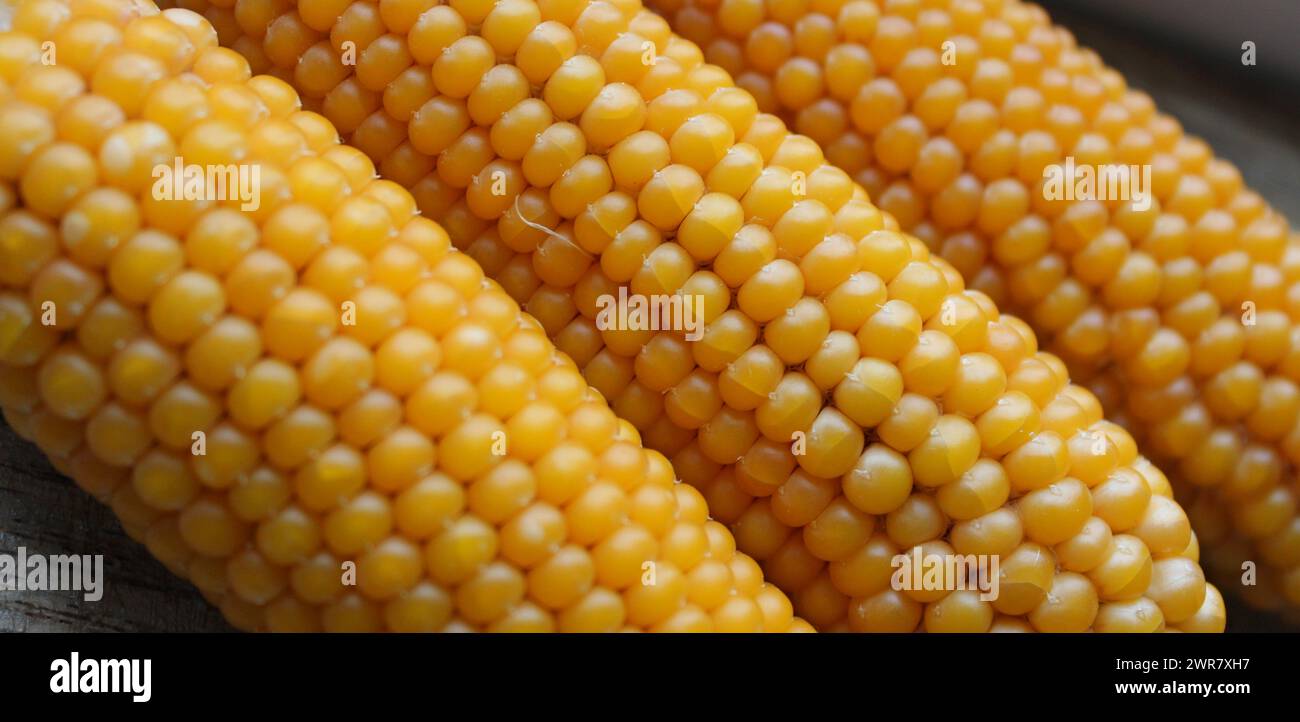 Macro Shot Photo Of Dry Corn Cobs Stock Photo For Corn Backgrounds ...