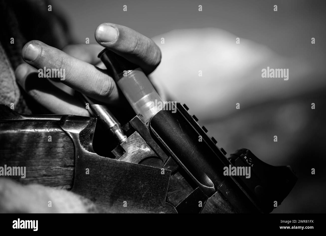 Hunting Licenses. Hunter with shotgun gun on hunt. Hunter in the fall ...