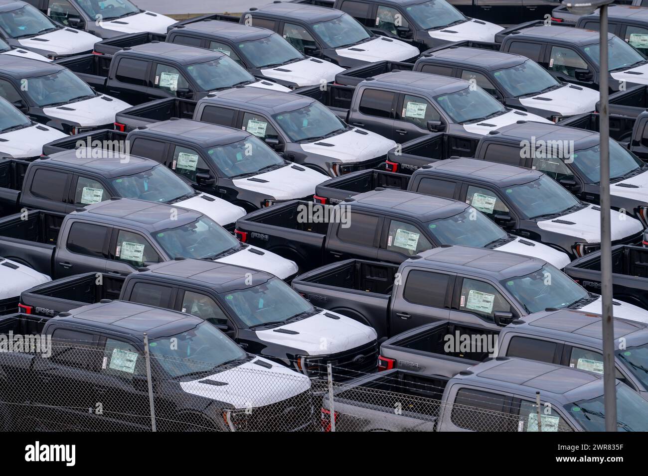 Ford FX4 pickup trucks on stockpile, in the overseas port of ...