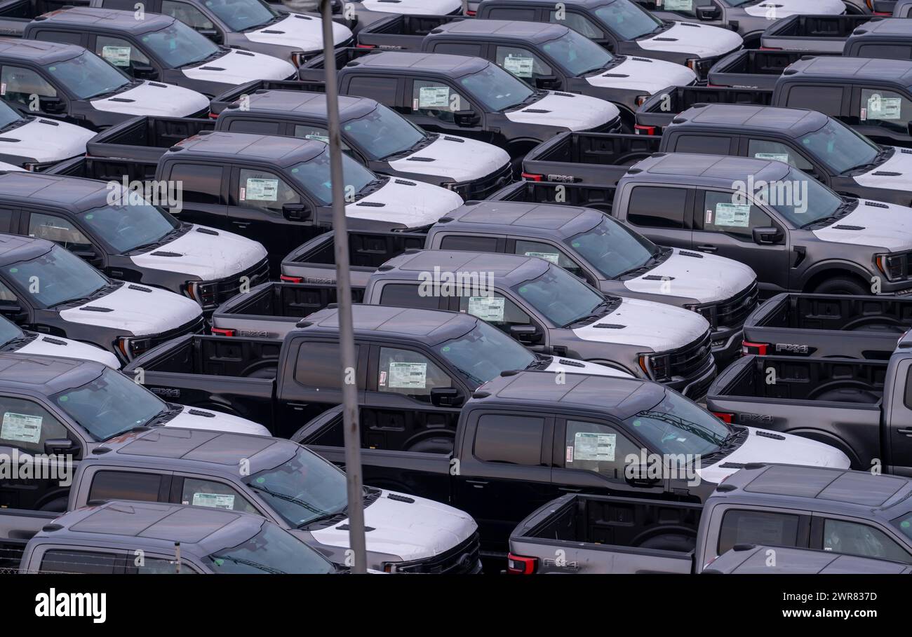 Ford FX4 pickup trucks on stockpile, in the overseas port of ...