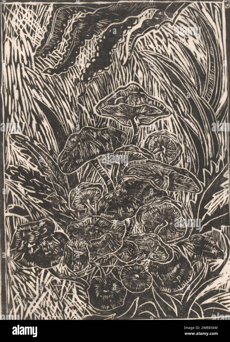 Mushrooms, print maker: Janus de Winter, (signed by artist), 1892 ...