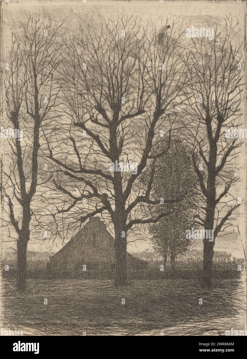 Farm between tall trees, Ewijkshoeve, print maker: Jan Veth, 1886 ...