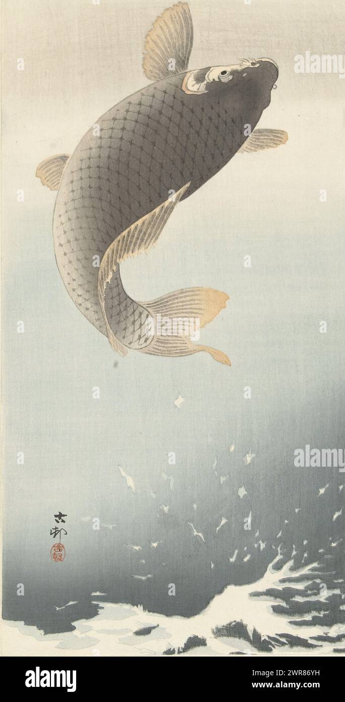 Carp, carp jumping out of the water., print maker: Ohara Koson ...