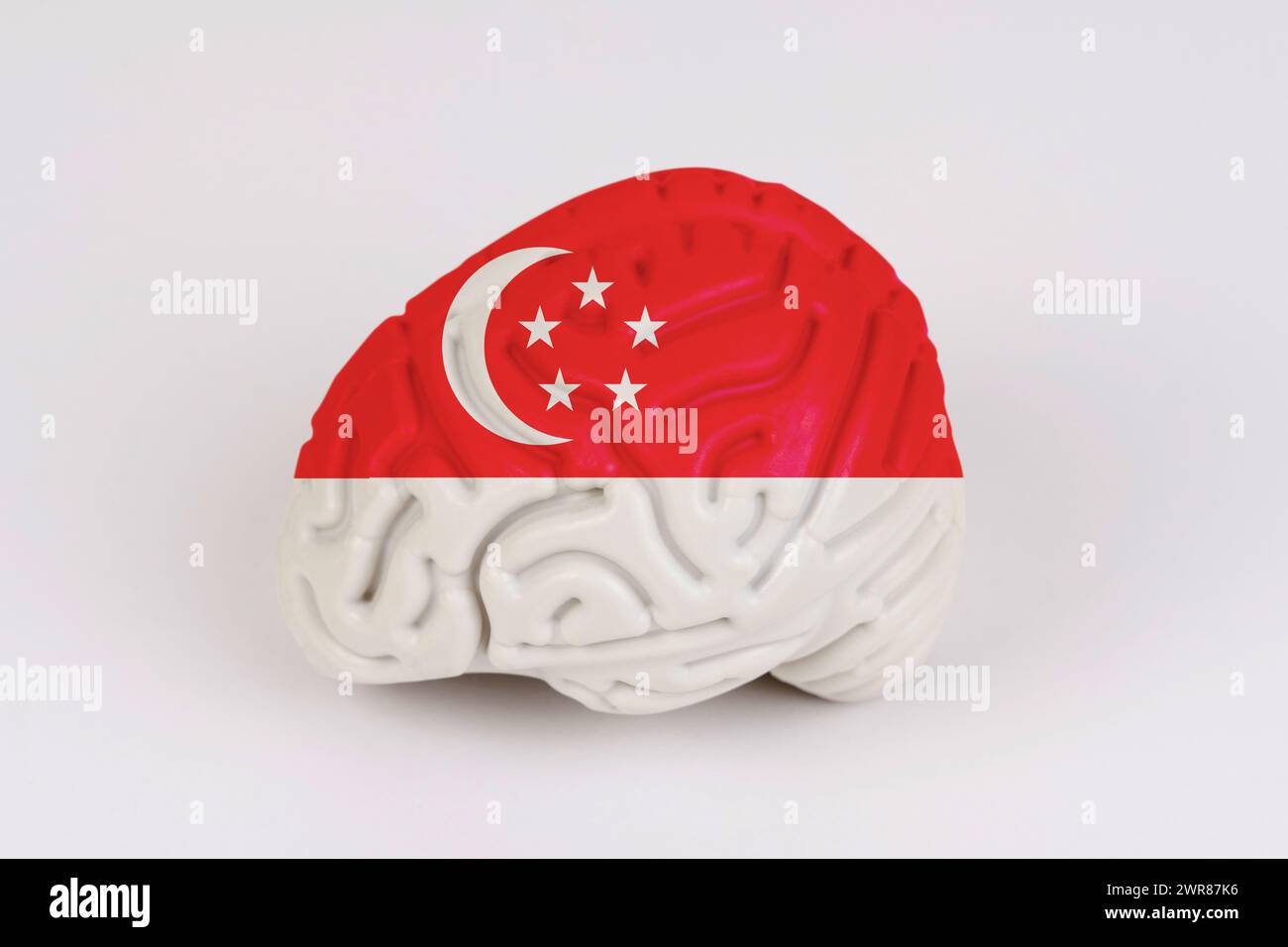 On a white background, a model of the brain with a picture of a flag ...