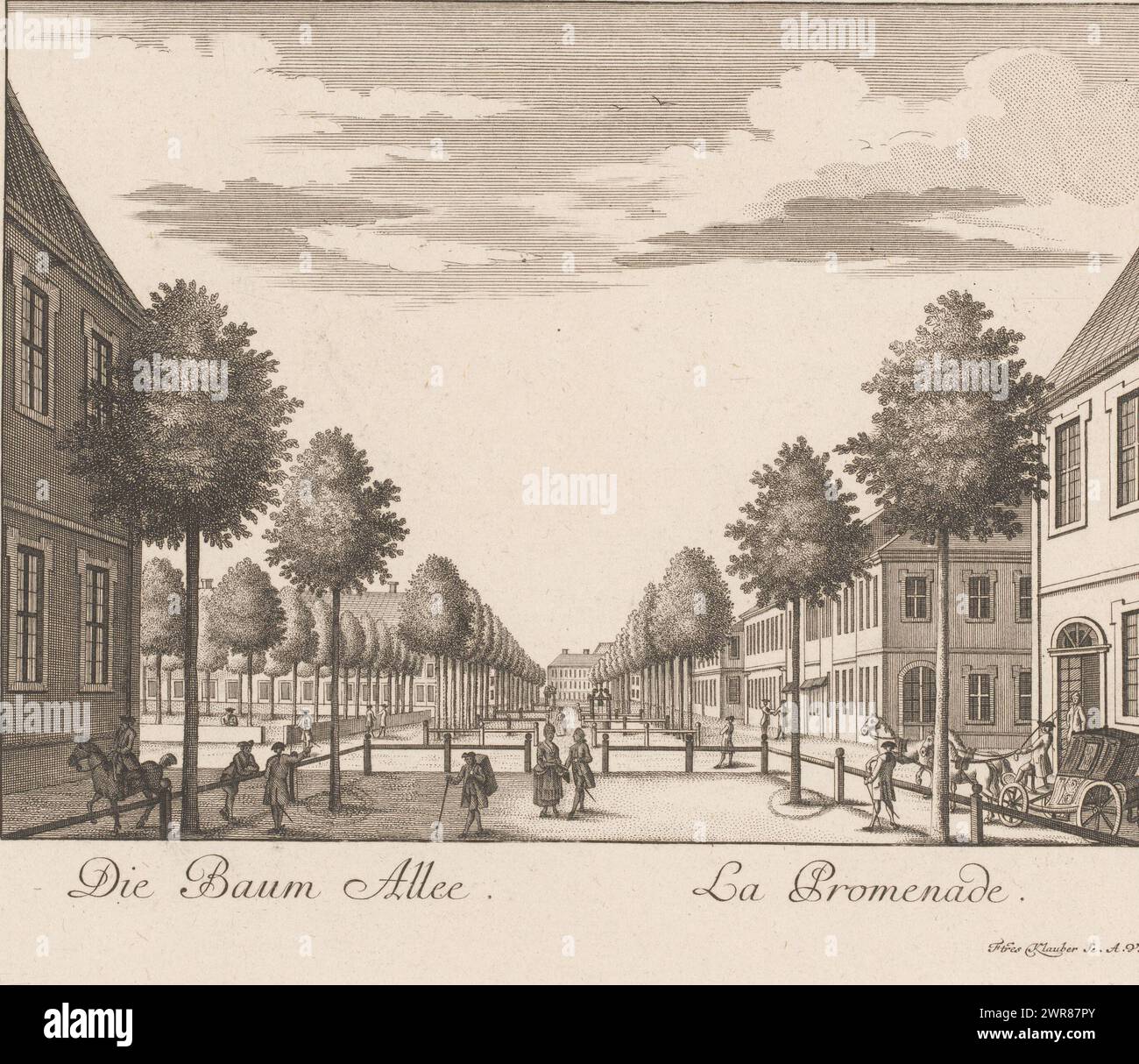 Die baum allee hi-res stock photography and images - Alamy