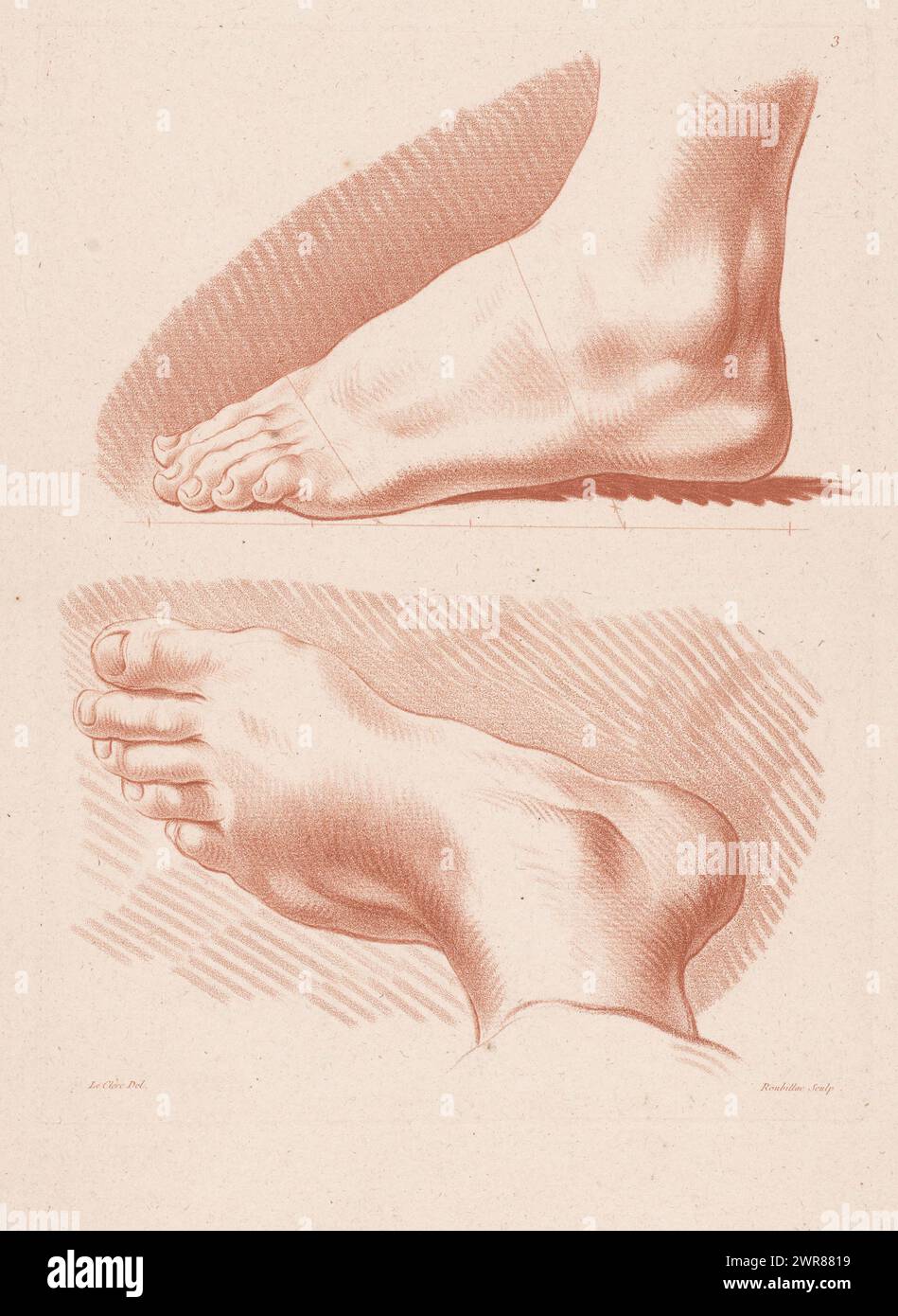 Two feet, Principles of drawing from nature, part five (series title ...