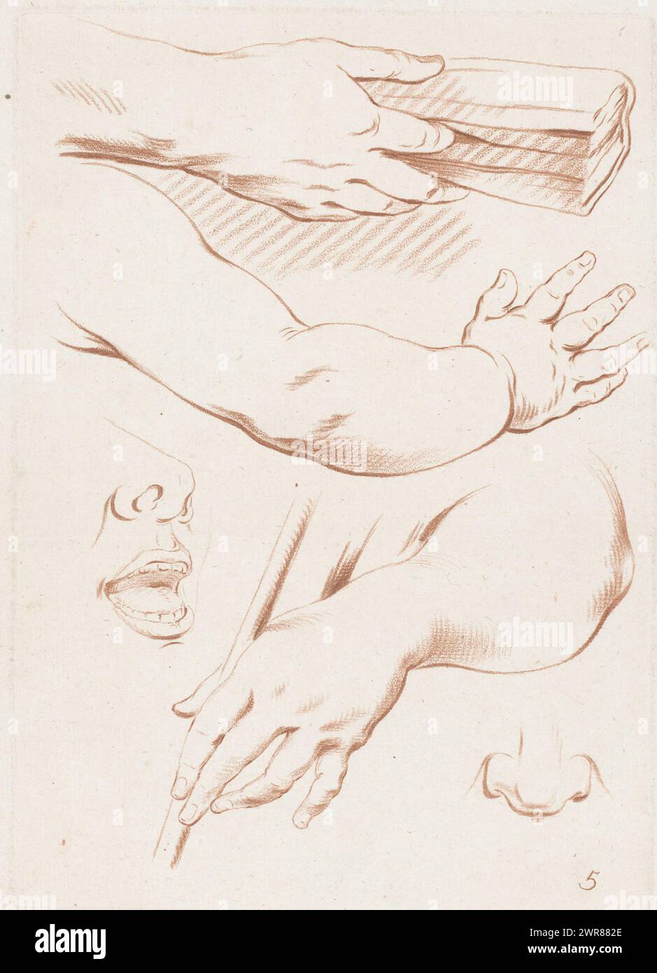 Human bottom hi-res stock photography and images - Alamy