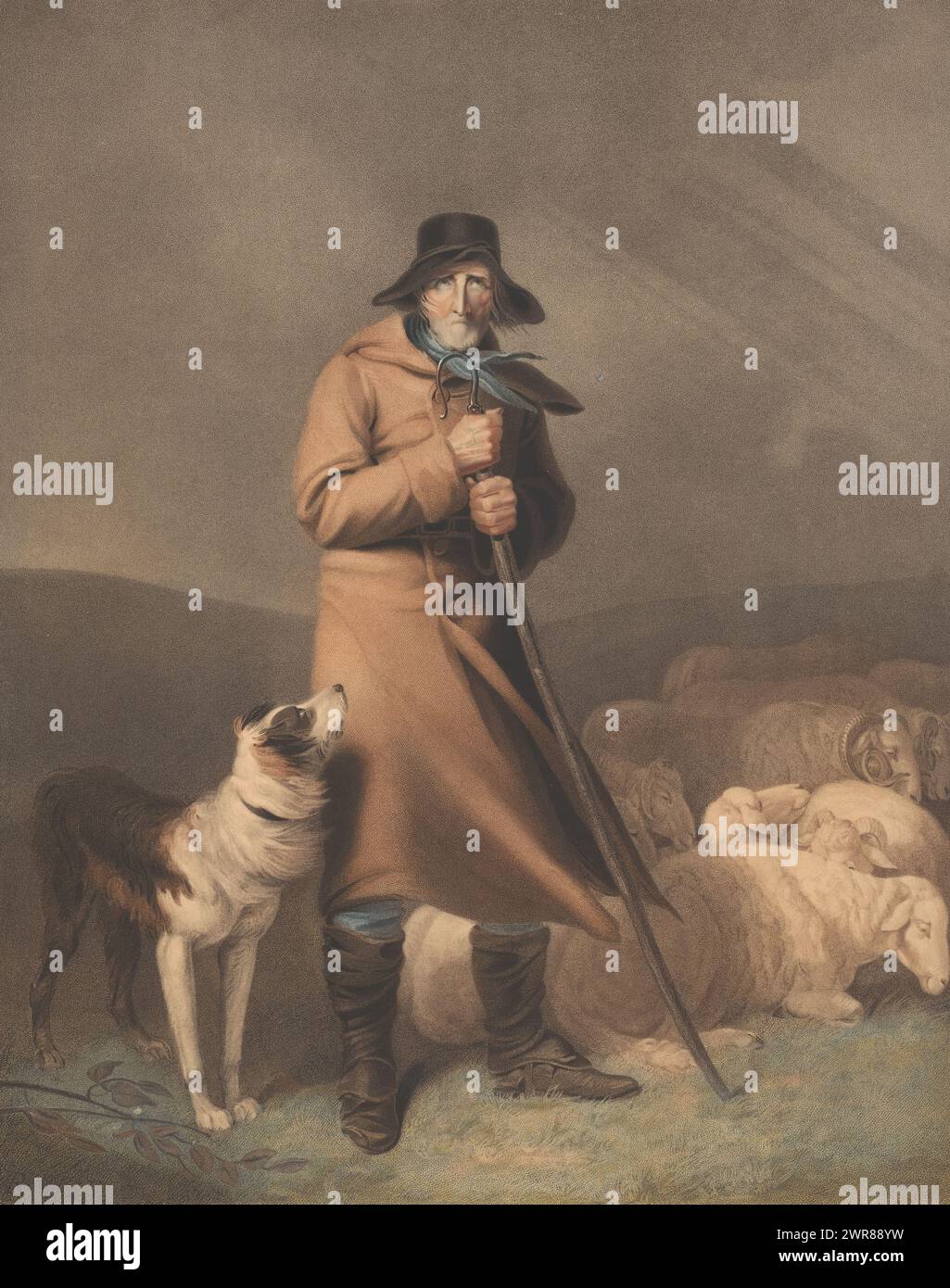 Storm dog hi-res stock photography and images - Alamy