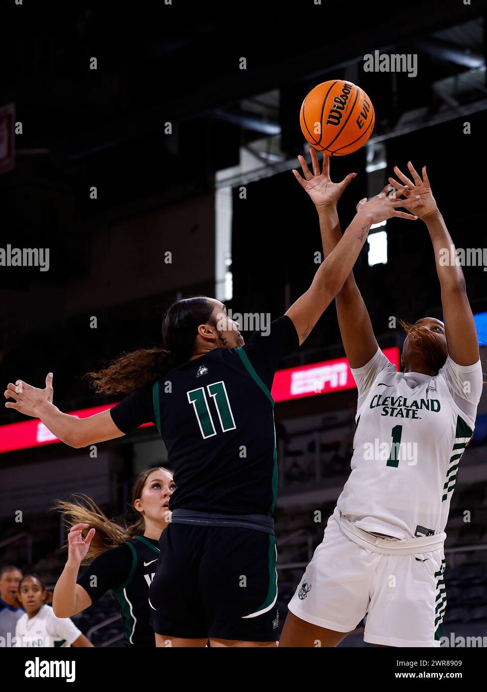 INDIANAPOLIS, IN - MARCH 11: Cleveland State Vikings forward Brooklynn ...
