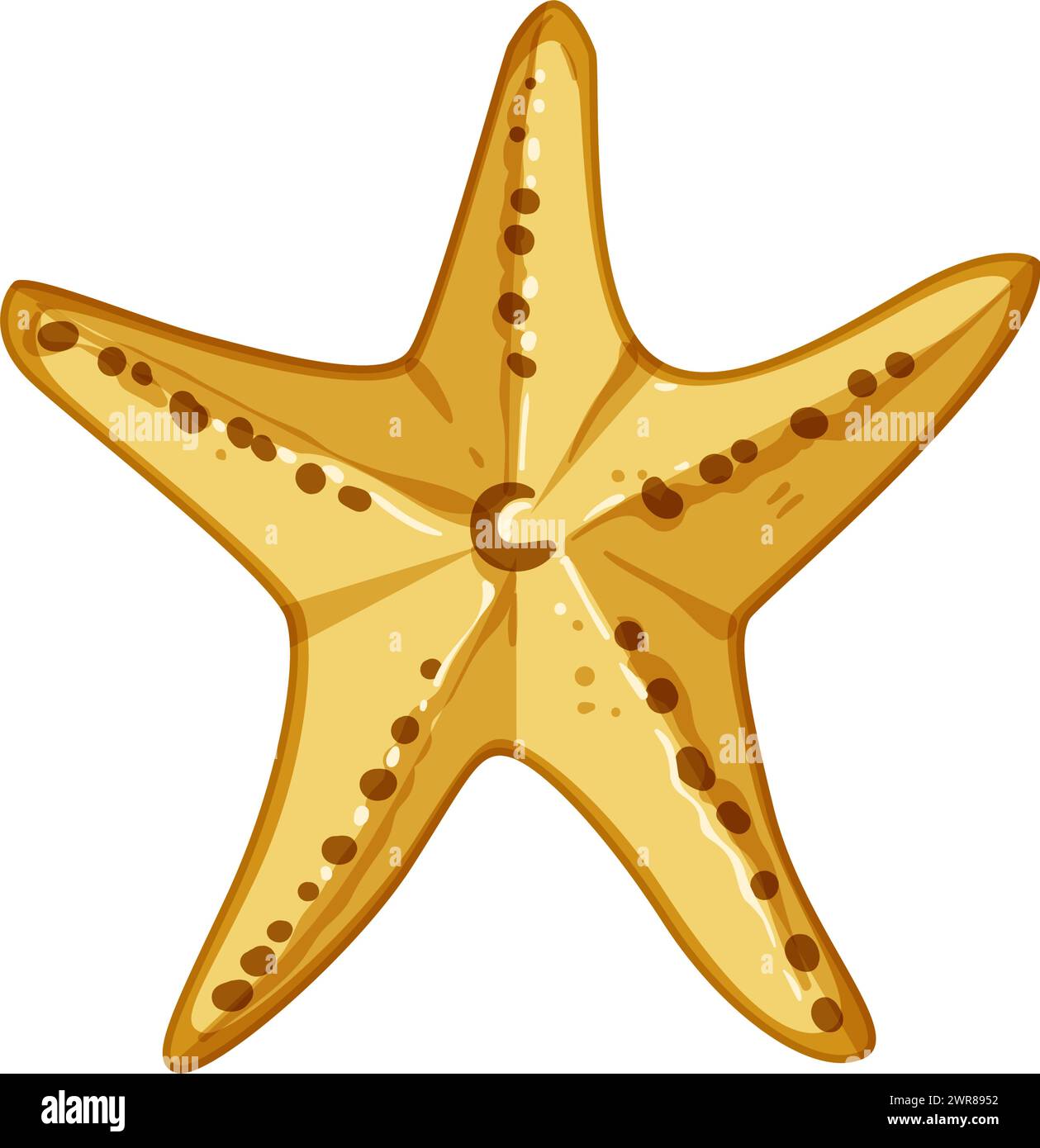 beach sea star cartoon vector illustration Stock Vector Image & Art - Alamy