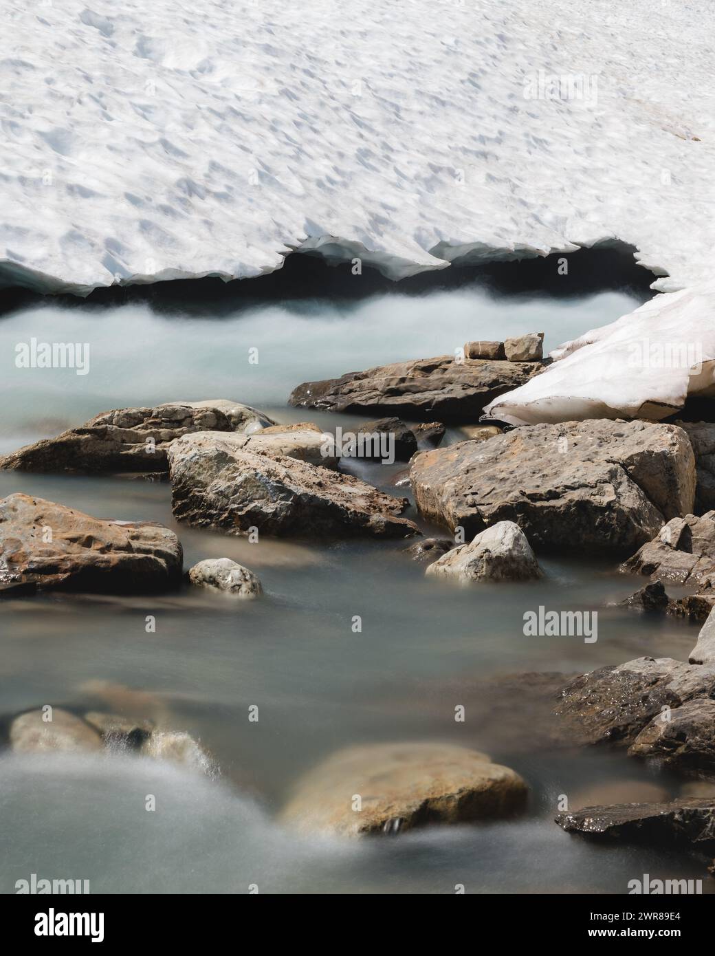 Daytime capture hi-res stock photography and images - Alamy