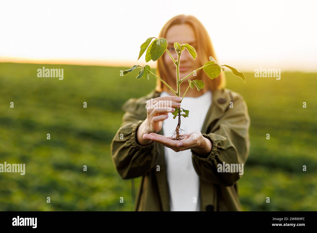 Agriculture environmental protection. Female farmer holds in hands ...